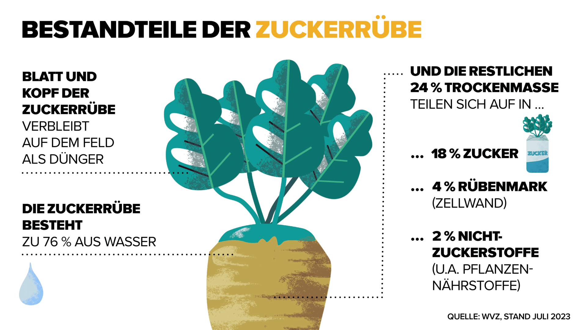 Saatstärke Zuckerrüben | Saatgutrechner Zuckerrüben – Limmerkoll